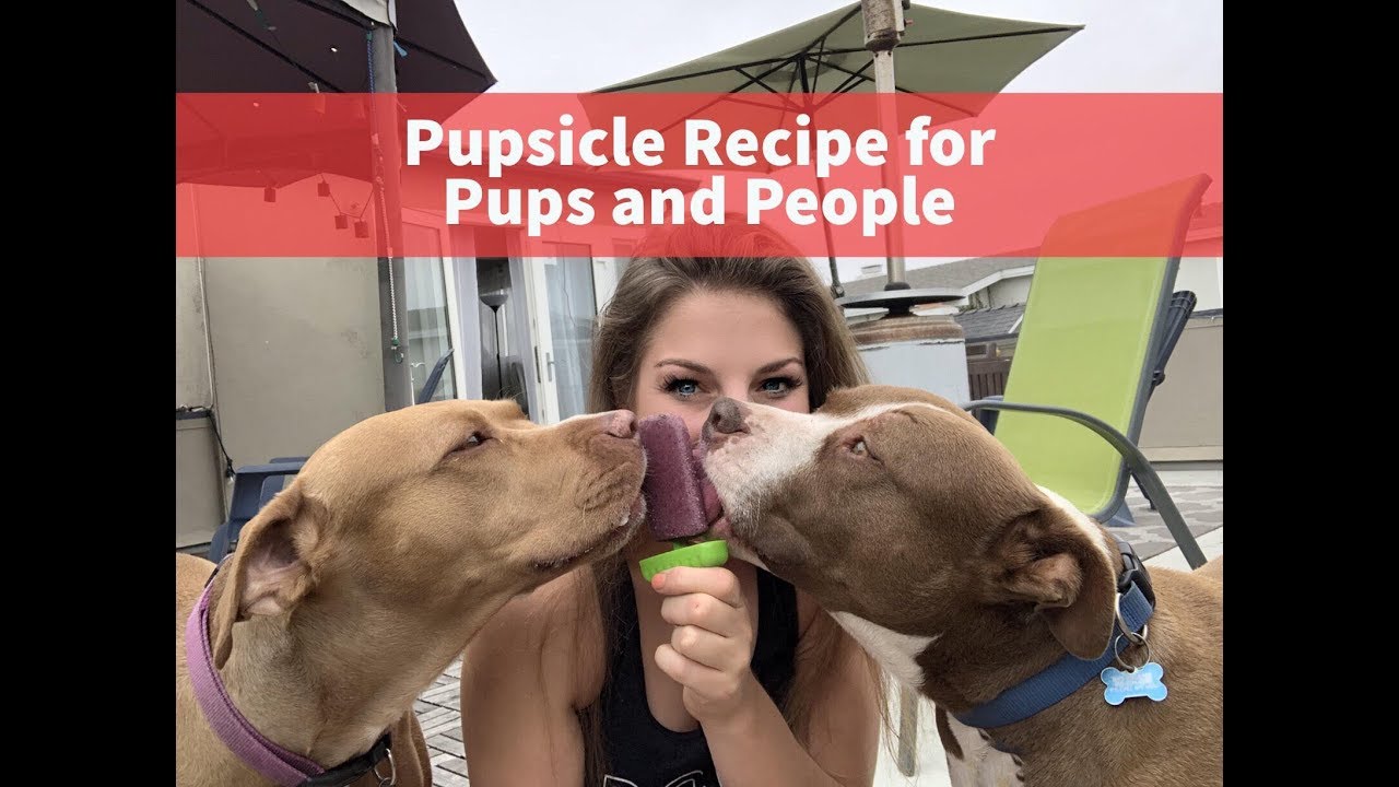 Pups and People Friendly Pupsicle Recipe - YouTube