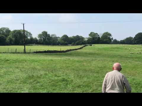 Ivan Stevenson Gale video 2 - YouTube