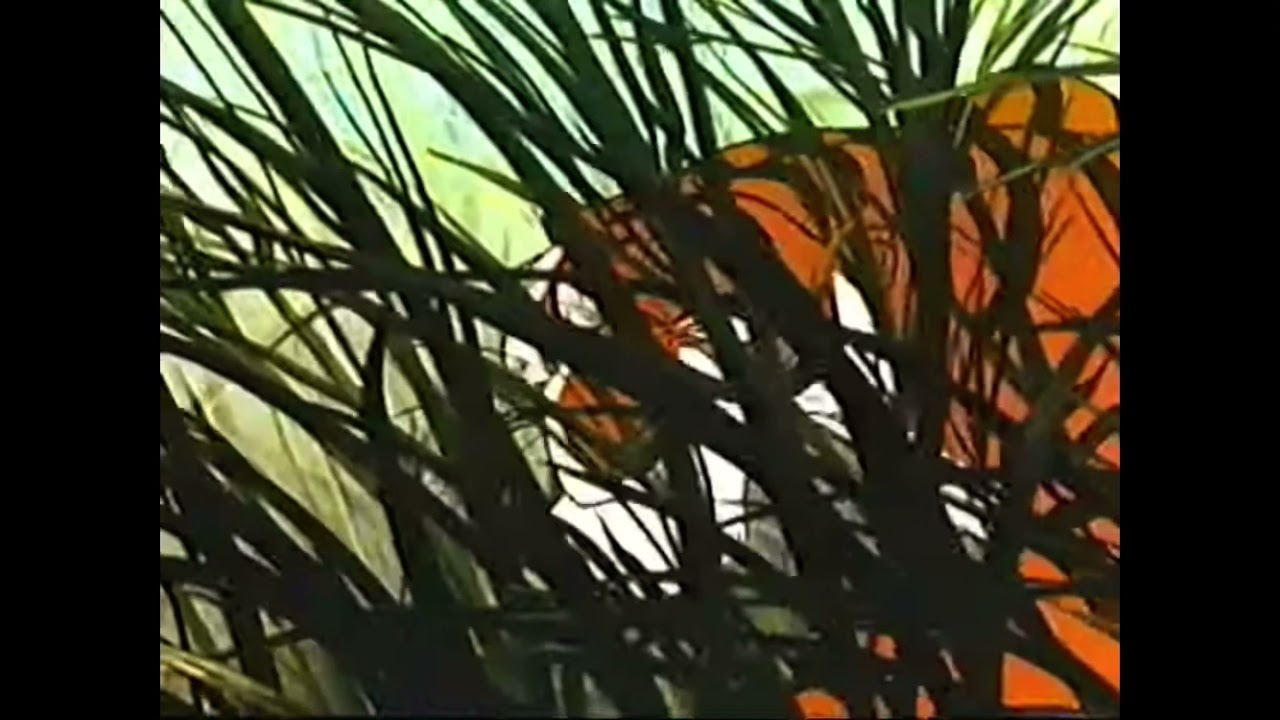 The Jungle Book (1967) Meet Shere Khan - YouTube