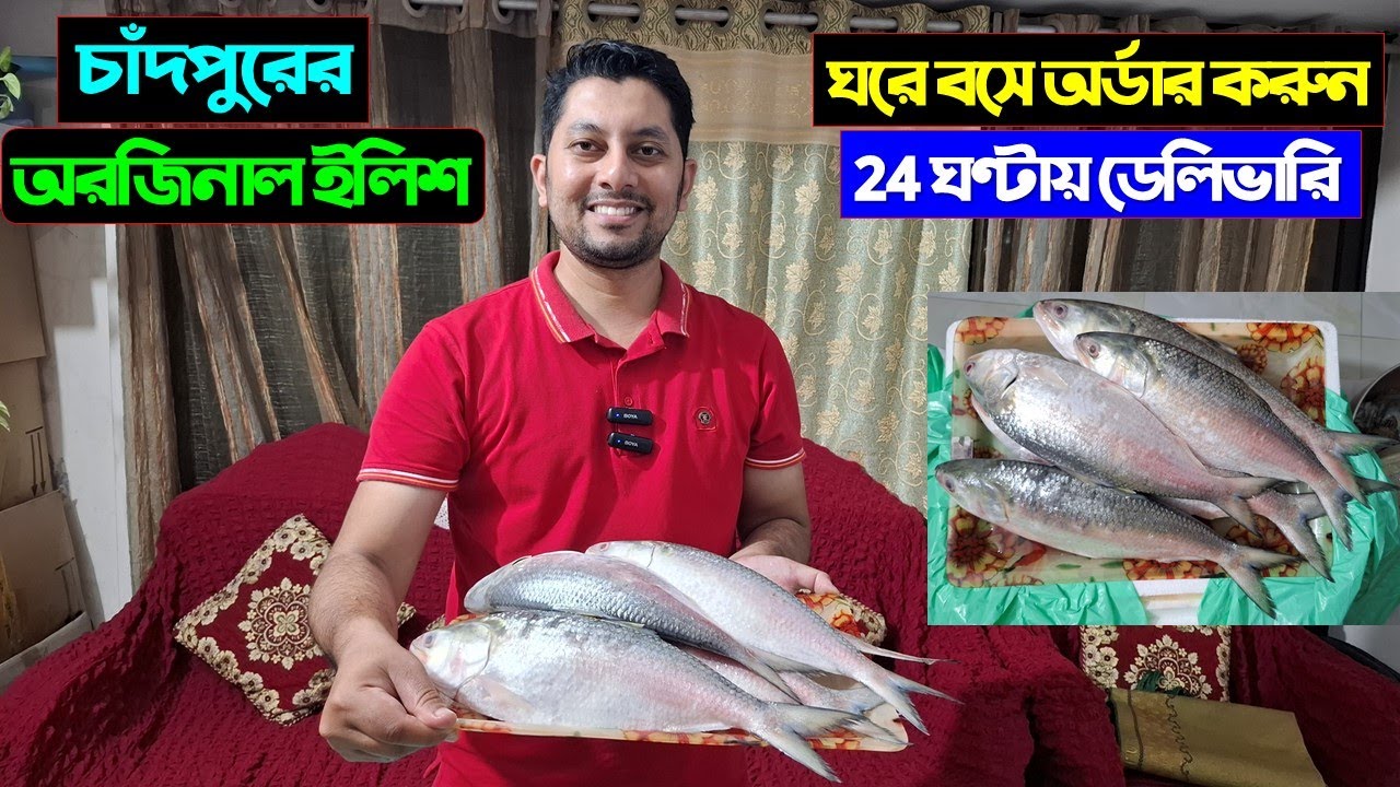সরাসরি চাঁদপুর থেকে ইলিশ মাছ/ইলিশ মাছের দাম/ilish fish price in bd 2024/Chandpur Hilsa Fish ...