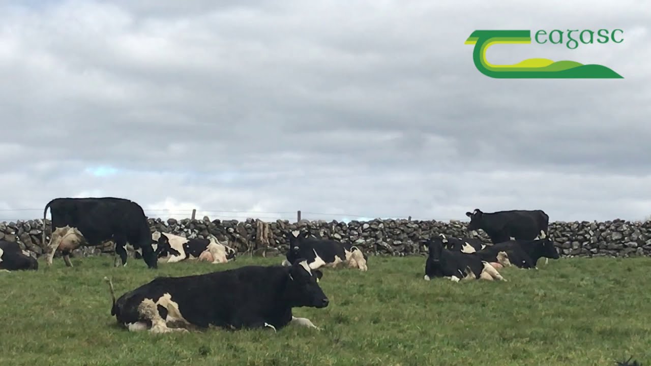 Protected Urea - YouTube