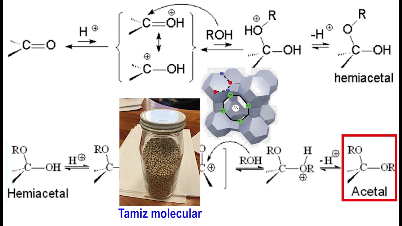 Servir y proteger: Acetales Aprende Química Orgánica conmigo - YouTube