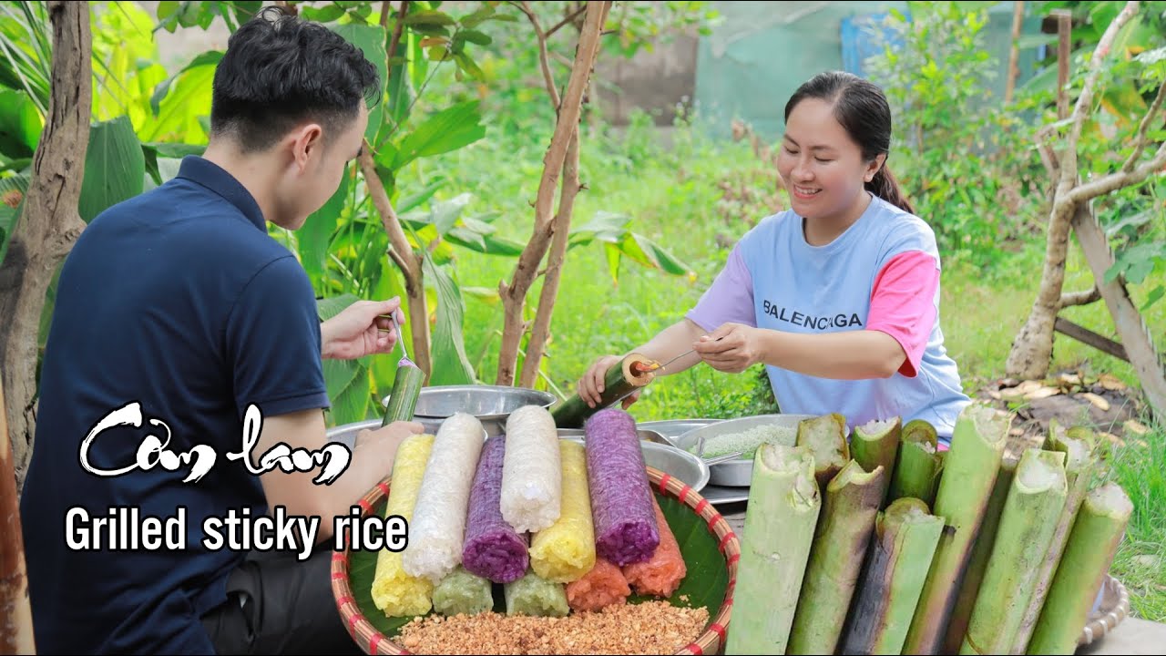 Harvesting BAMBOO and grilled sticky rice in bamboo tube | Emma Daily ...