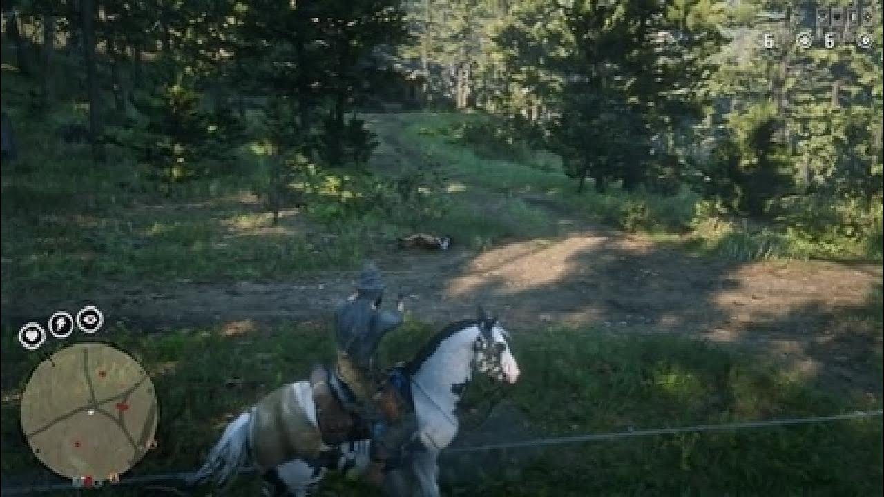 RDO RagDoll & a horse - YouTube