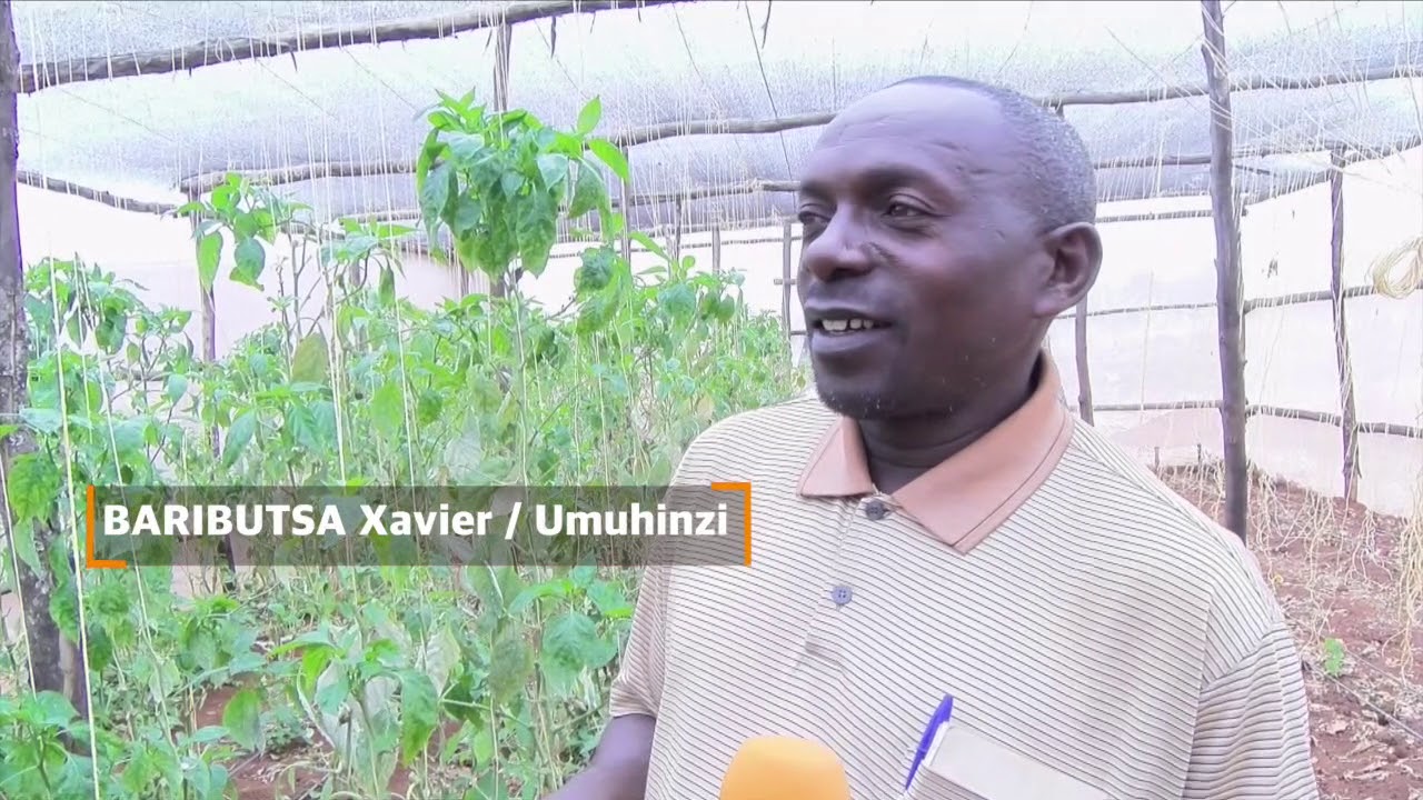Business Development Fund Rwanda -Testmonial BARIBUTSA Xavier - YouTube