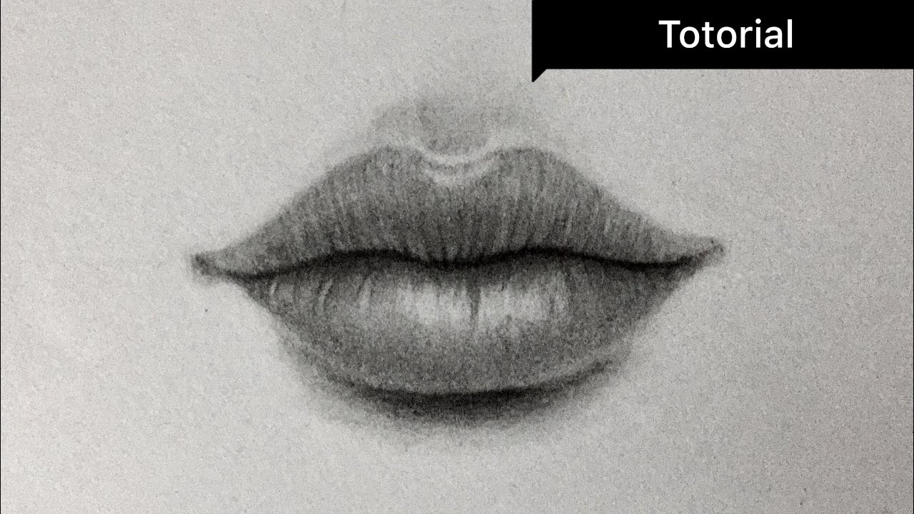 How to draw realistic lips || Tutorial for beginners #20 - YouTube
