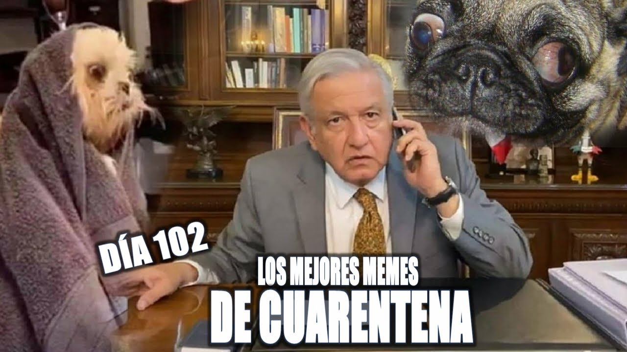 LOS MEJORES MEMES DE LA CUARENTENA | MEMES DIA 102 DE LA CUARENTENA ...