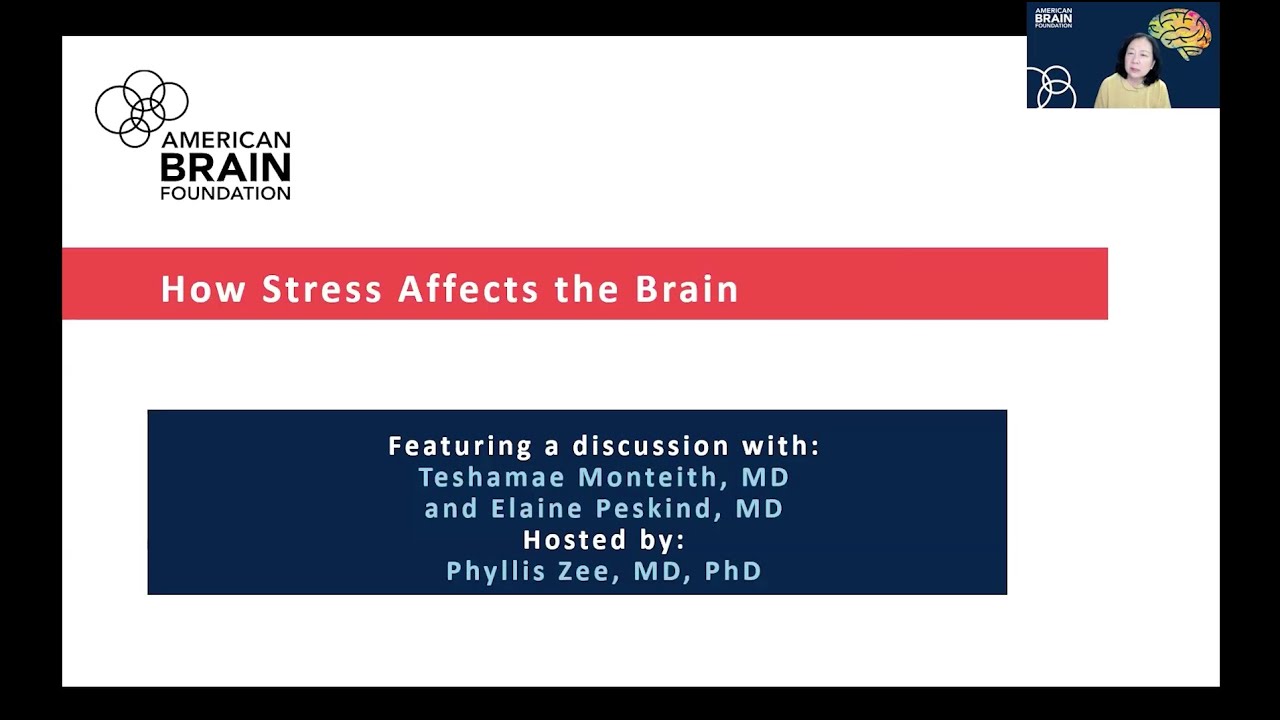 How Stress Affects the Brain | Webinar - YouTube