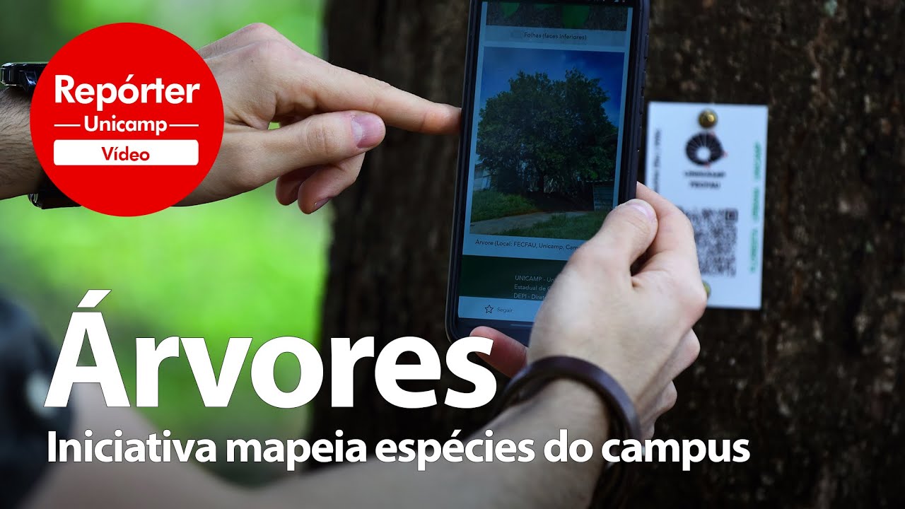 Funcionário da Unicamp mapeia árvores do campus - YouTube