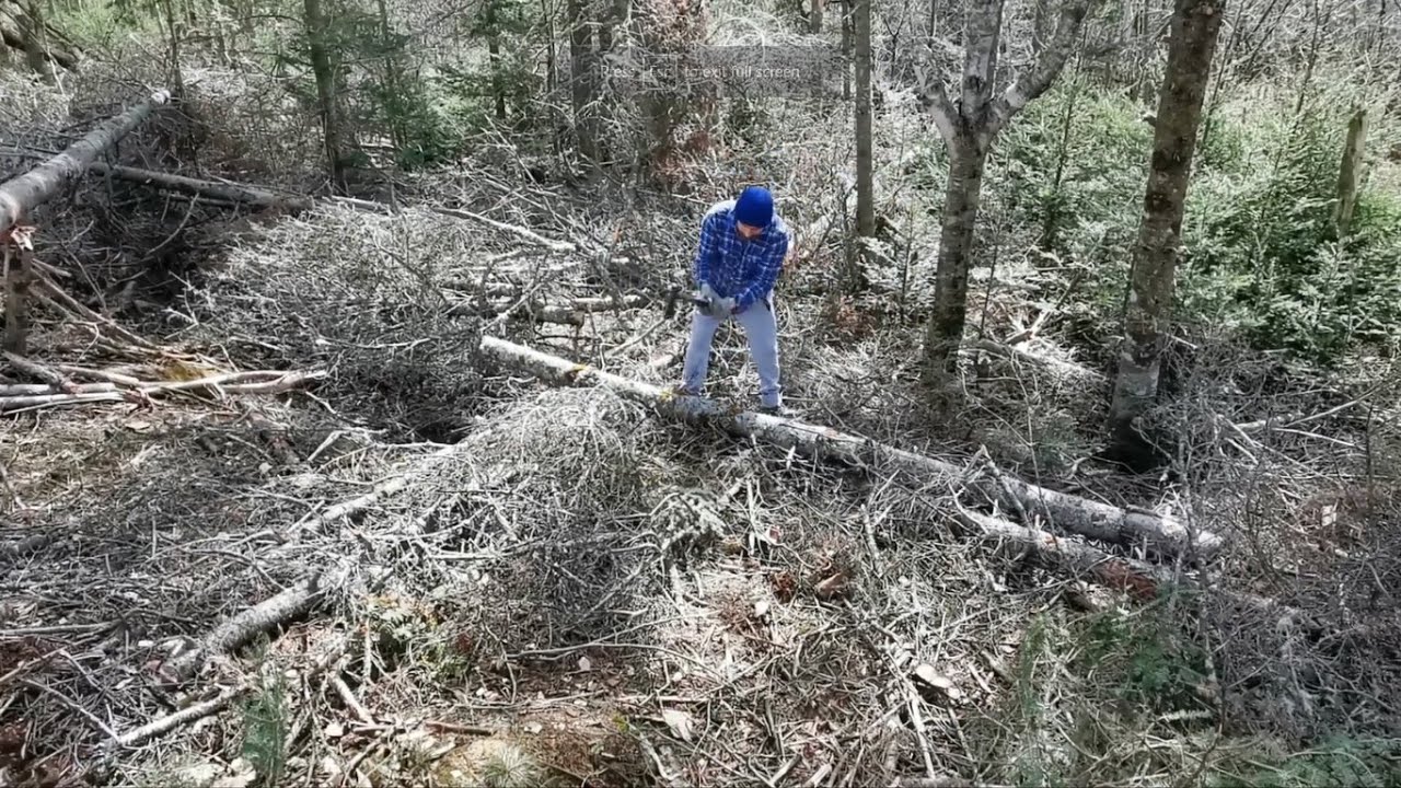 Spring Cleaning (Cleaning up the Forest) - YouTube