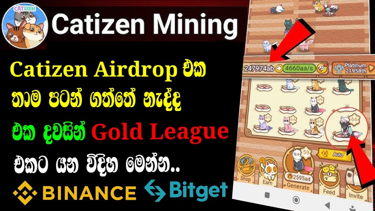 Catizen airdrop sinhala | cati coin | catizen airdrop telegram ...