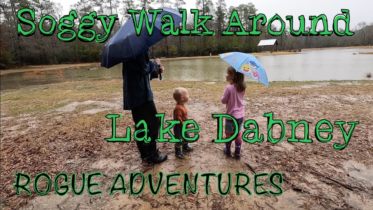 Enjoy a Soggy Walk Around Lake Dabney! Lake Houston Wilderness Park ...