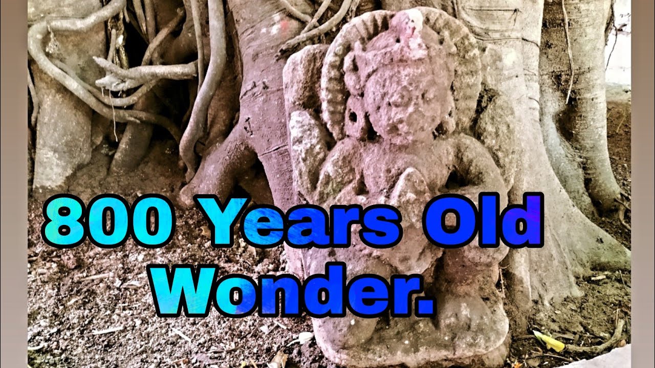 800 Years Old Wonder. | kajal, Pritam, Satya, Dillip and Sandip. - YouTube