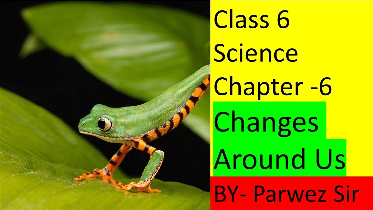 Class 6 Science Chapter-6 Changes Around Us - YouTube