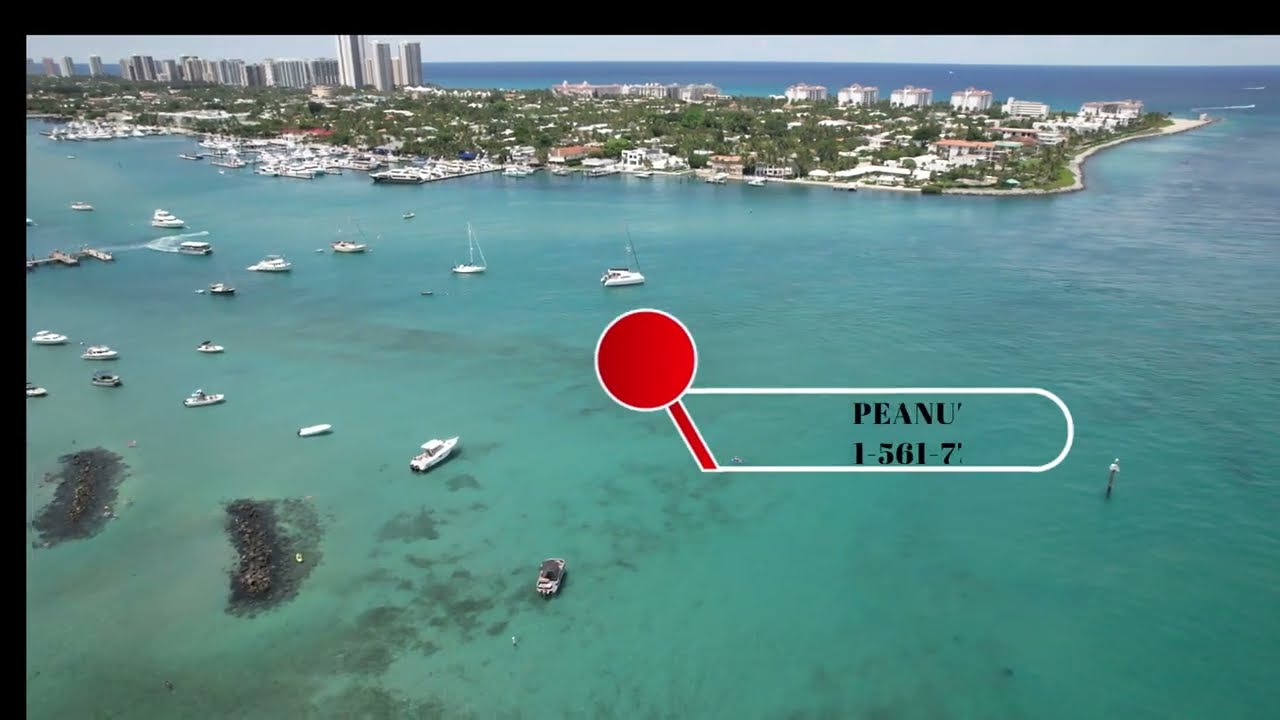 5 Reasons you have got to visit Peanut Island WPB - YouTube