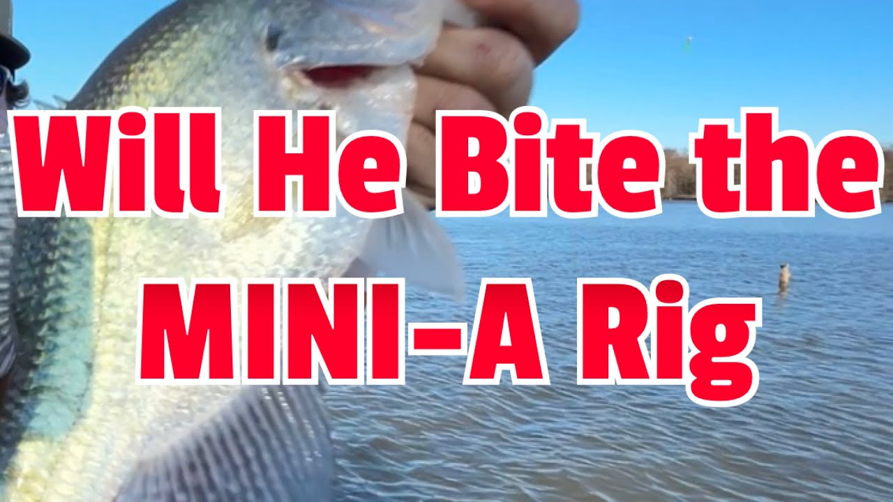 Mini A Rig? Umbrella Rig? Crappie? - YouTube