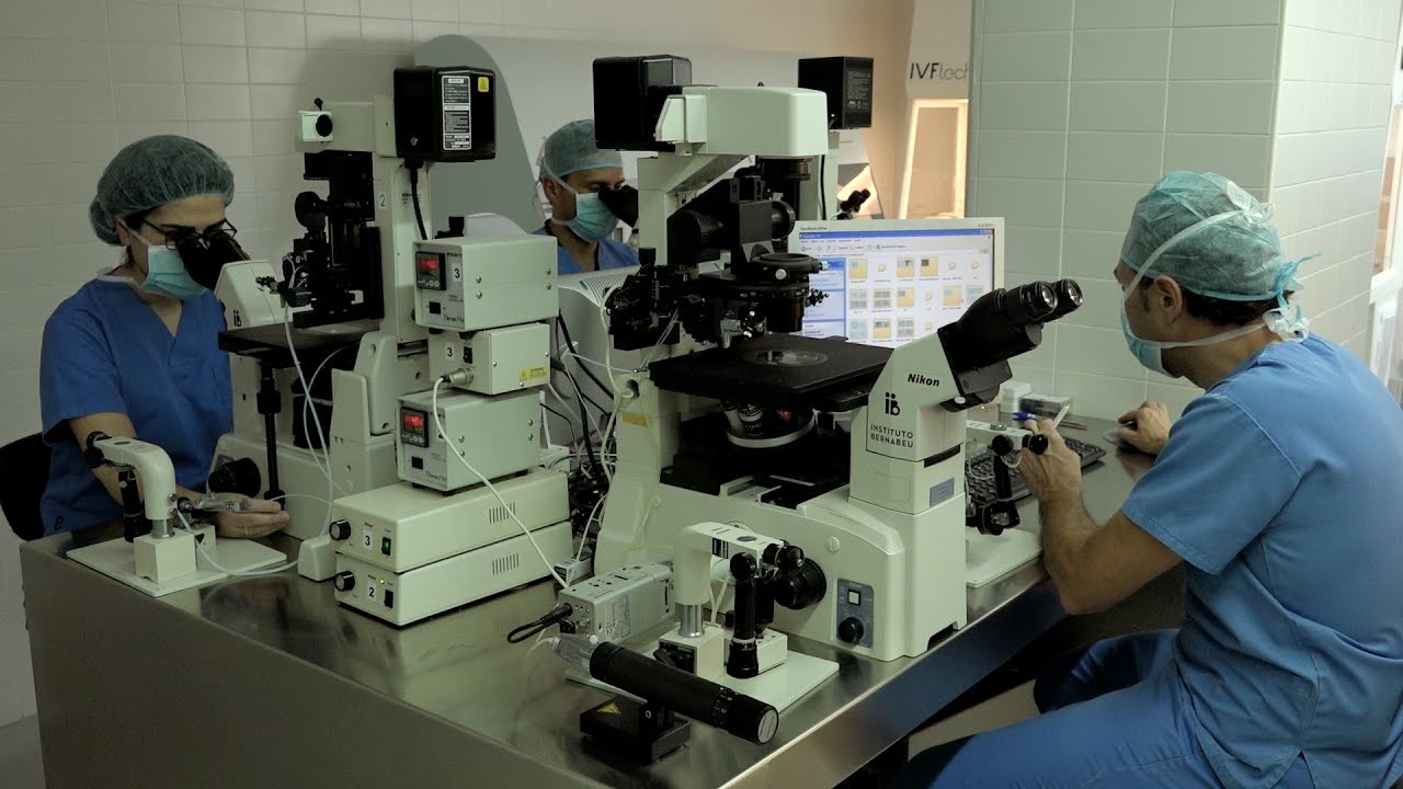 Mini or micro IVF. In vitro fertilisation during natural cycles - YouTube