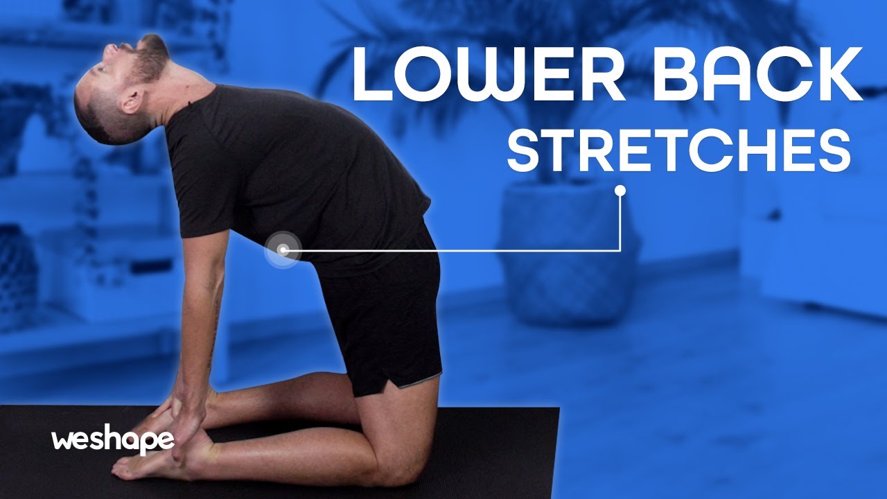 3 Stretches For Your Lower Back - YouTube