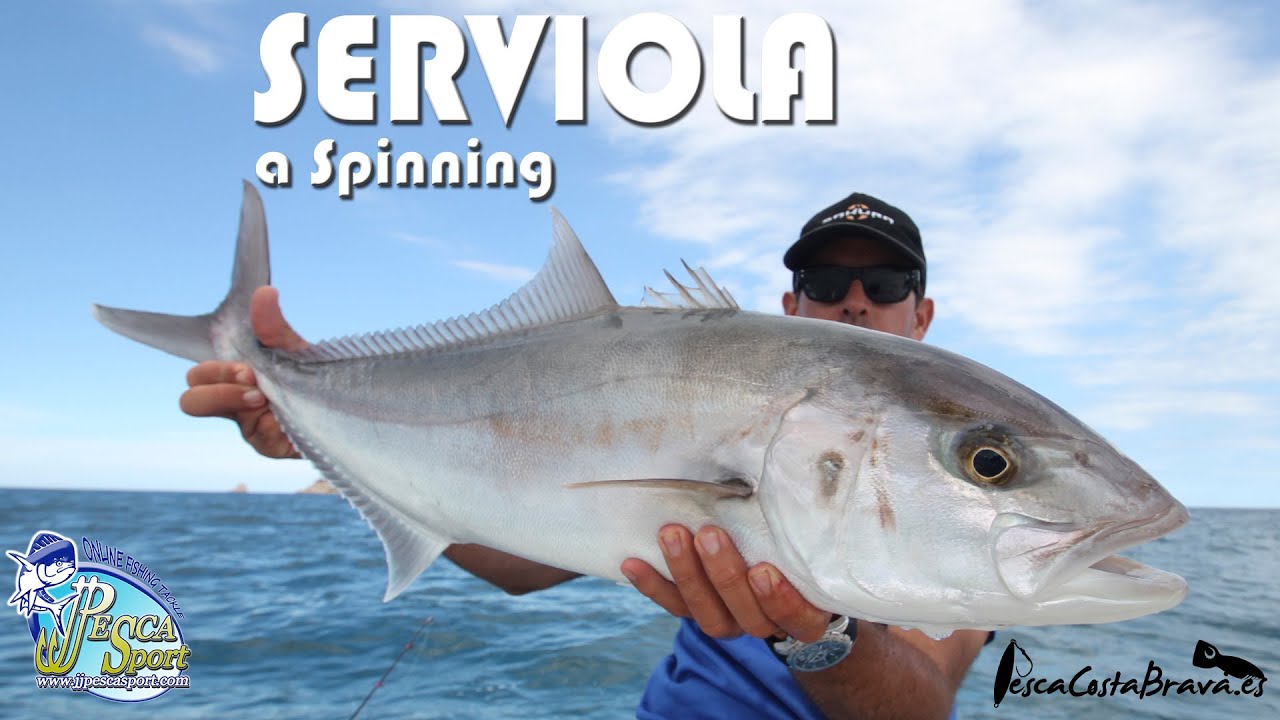 SERVIOLA A SPINNING - YouTube