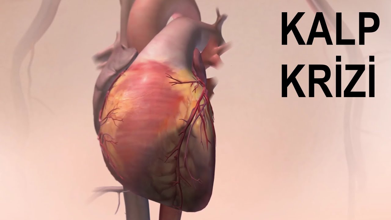 Kalp Krizi Nasıl Gerçekleşir? [Kısa Versiyon] - YouTube