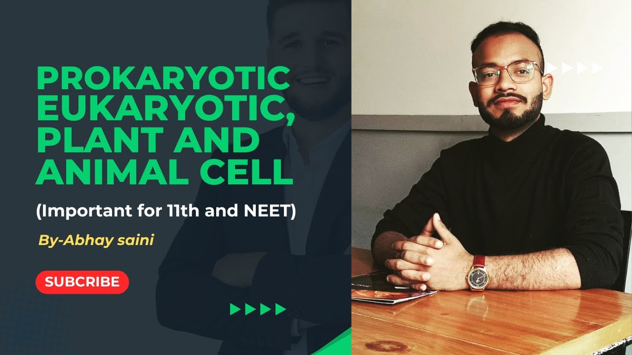 Differences between Prokaryotic and eukaryotic cell /Plant and Animal ...