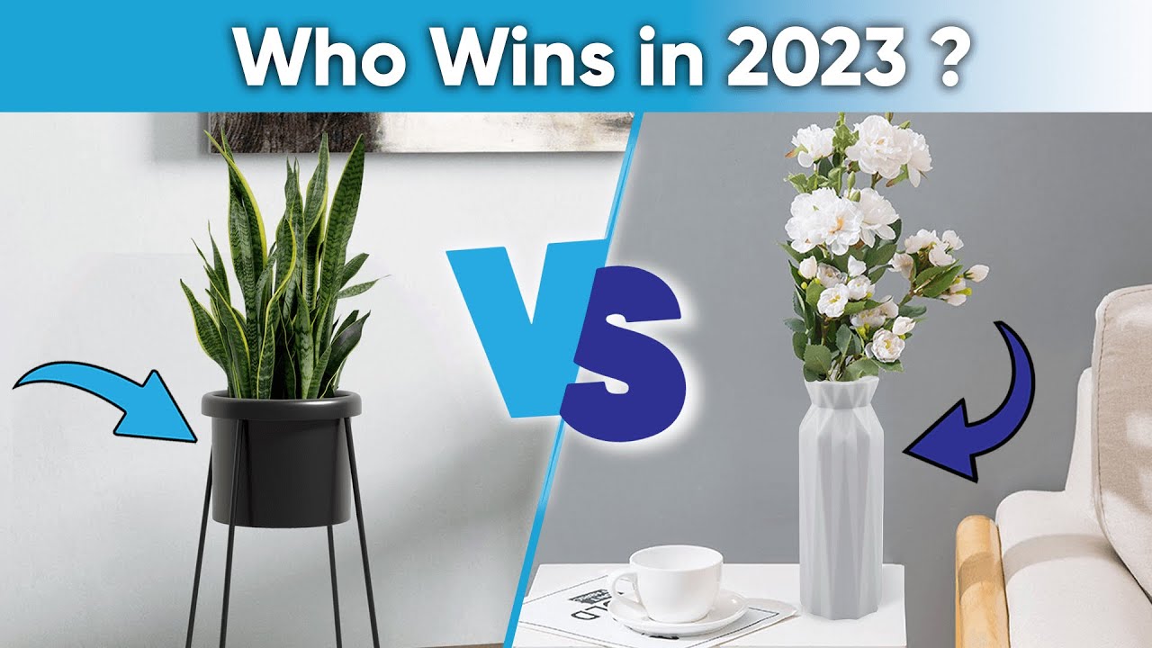 Flower Pot vs Vase - Which One is Perfect for Your Home Decor? - YouTube