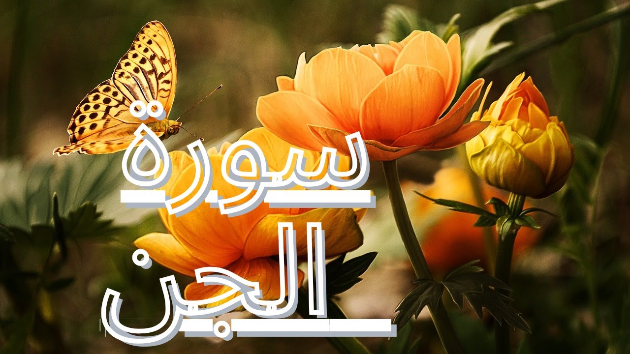 Surah Al jinn The jinn Beautiful Quran recitation