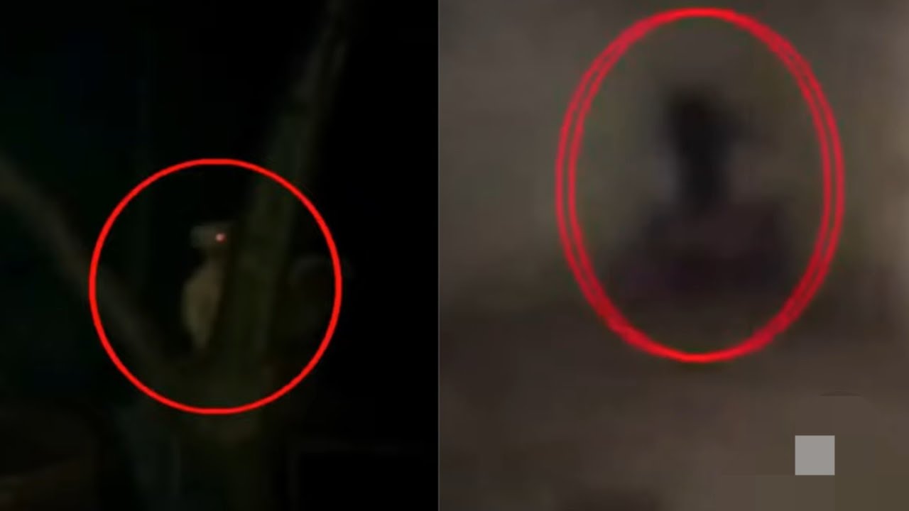 Fantomele care Bantuie Lumea ( Lumea Fantomelor ) - YouTube