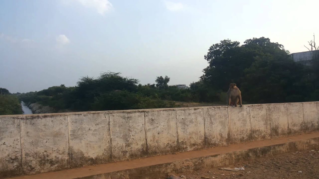 khammam wyra lake trip - YouTube