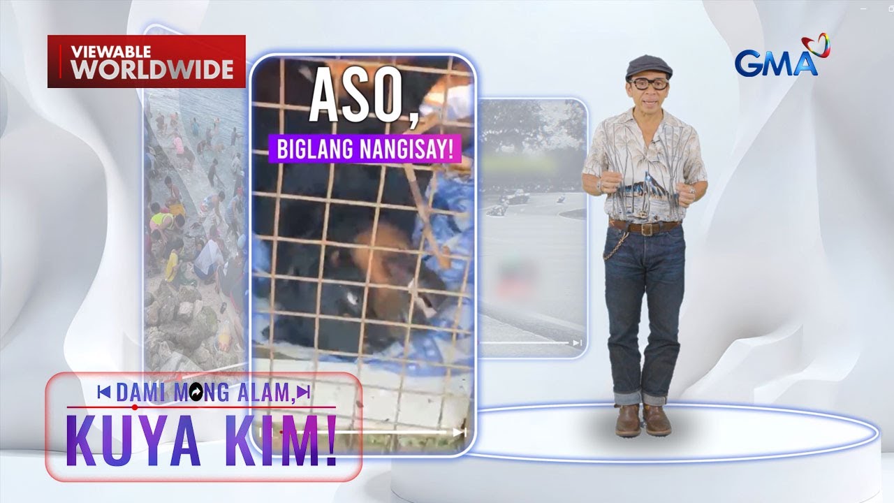 Aso, bigla na lang daw nagkaroon ng seizure? | Dami Mong Alam, Kuya Kim! - YouTube