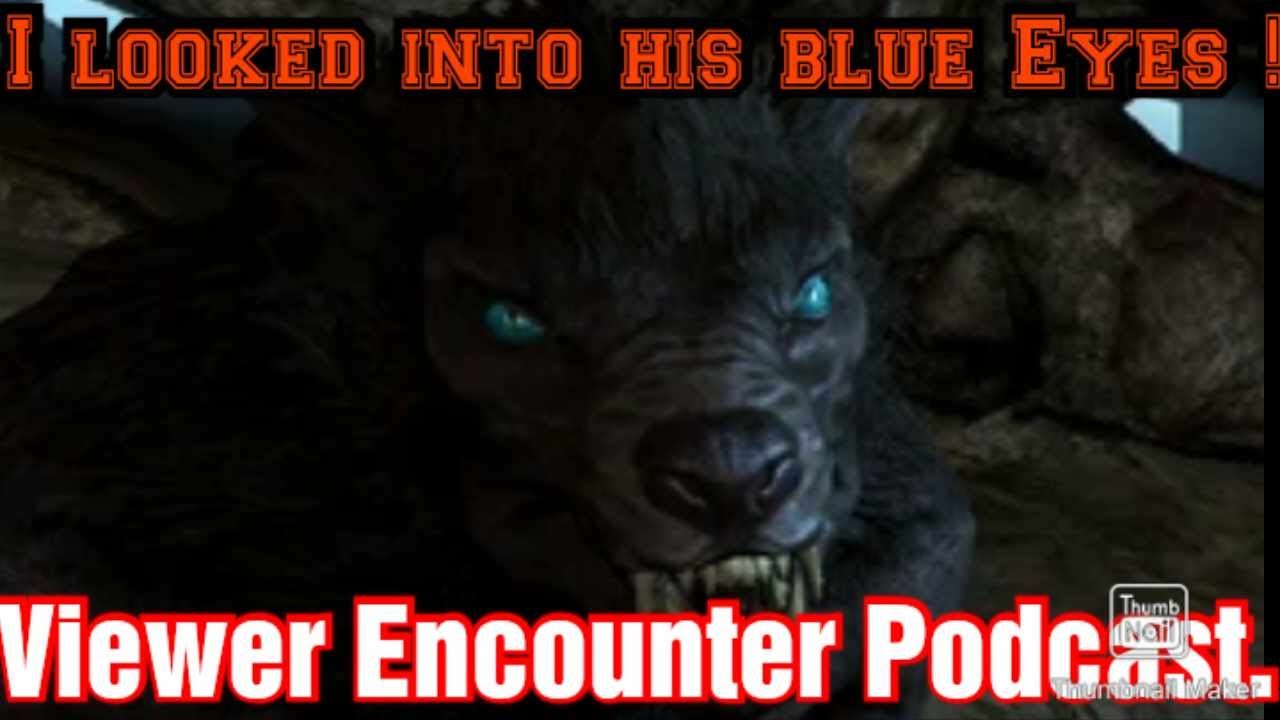 It Had Blue Eyes ( Witness Encounter Podcast ) - YouTube