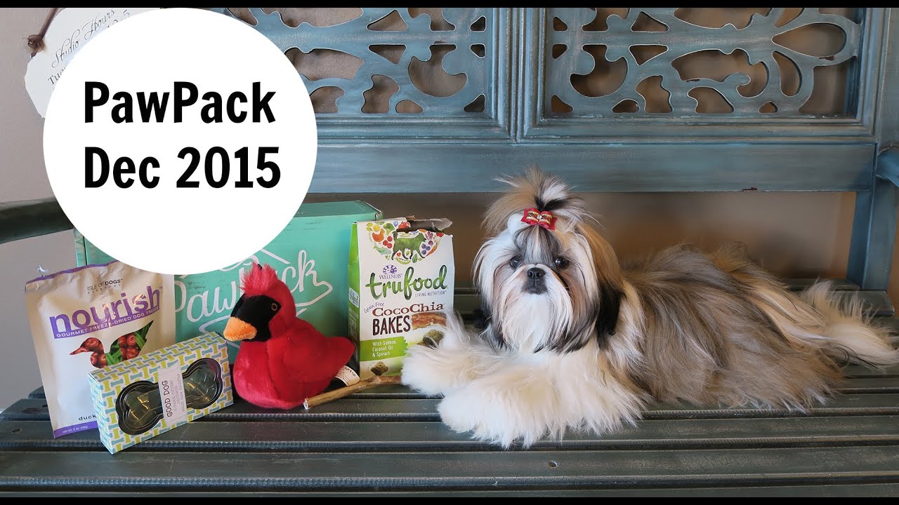 PAWPACK DECEMBER UNBOXING- DOG SUBSCRIPTION BOX - YouTube
