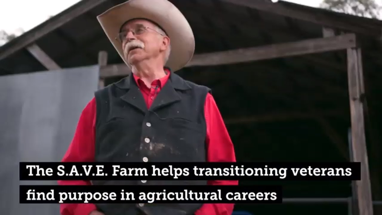 SAVE Farm - Teaching Agriculture and Agribusiness - YouTube