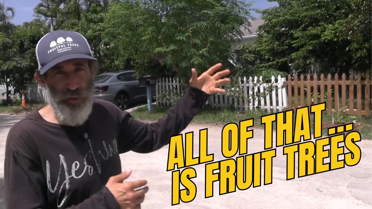 He Grows Over 100 Fruit Trees… and Teaches You Everything He Knows ...