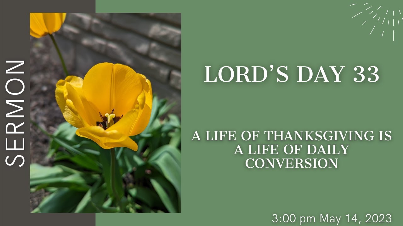 A life of thanksgiving is a life of daily conversion - YouTube