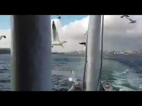 •Whatsapp status üçün huzur dolu video|Sounds app videolar|instagram videolari|Səssiz illər•