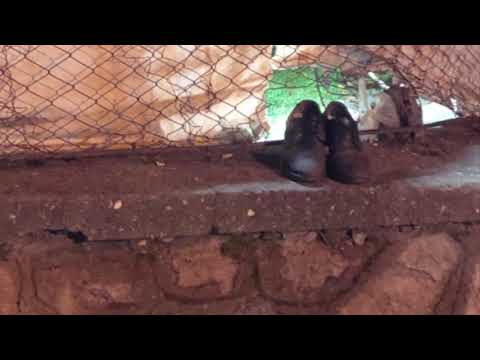 Sinem Güngör - Bugün Anladım (cover)