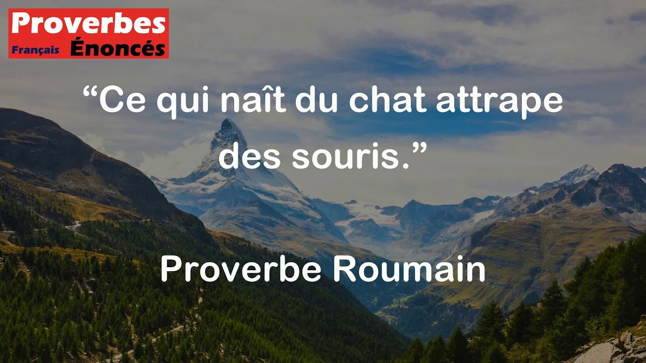 Proverbe Roumain - Ce qui naît du chat attrape des souris. - YouTube
