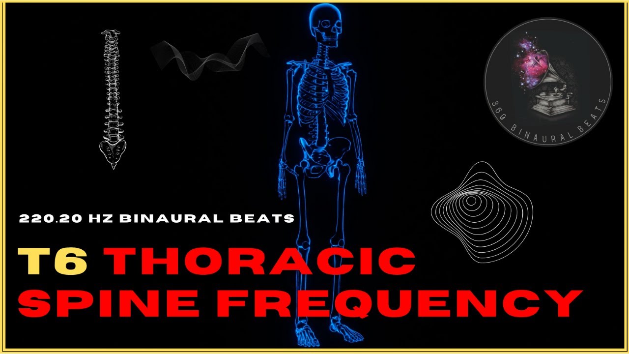 T6 Thoracic Spine Frequency: 220.20 Hz | Indigestion, Heartburn and ...