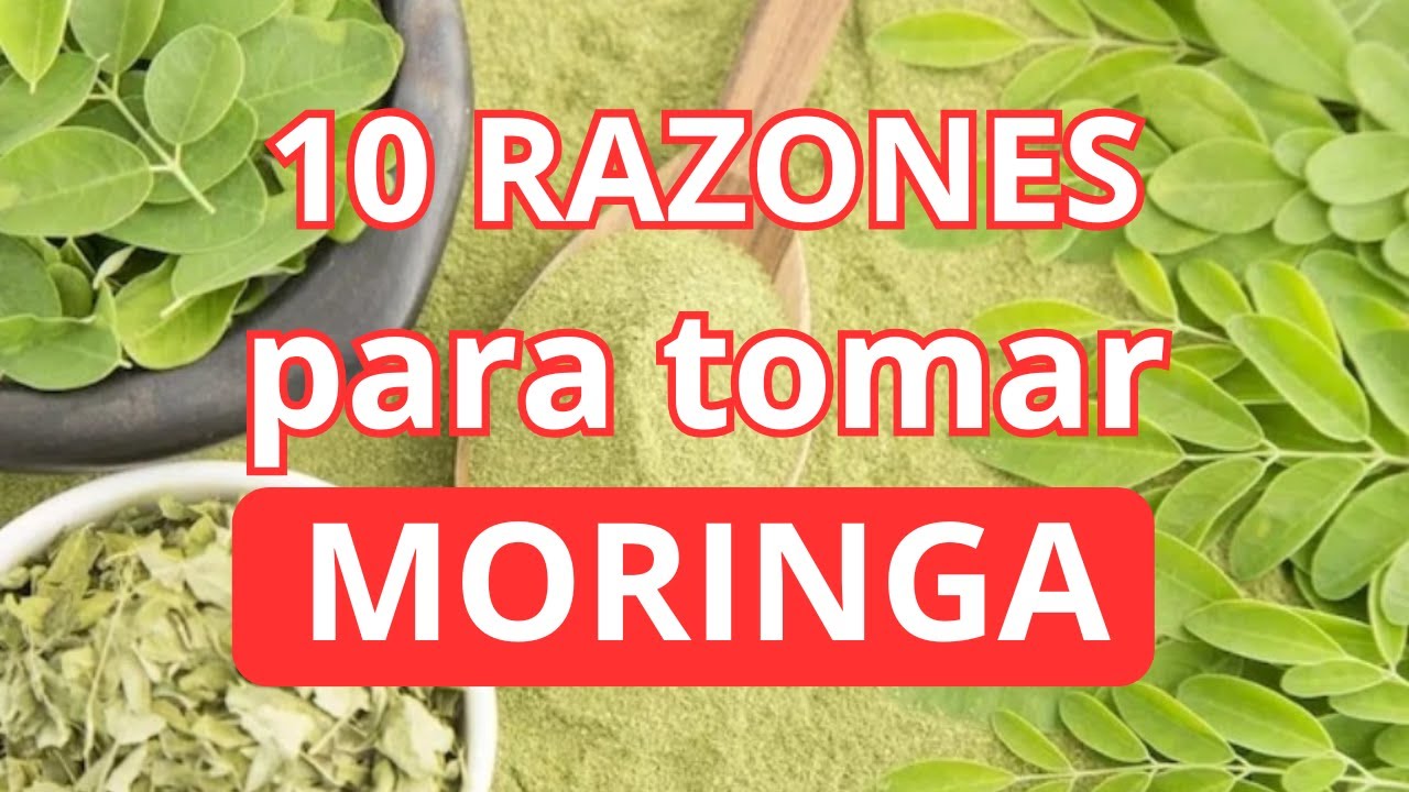 La MORINGA es MÁS PODEROSA de lo que te han dicho... 🚨 ¡Descubre por ...