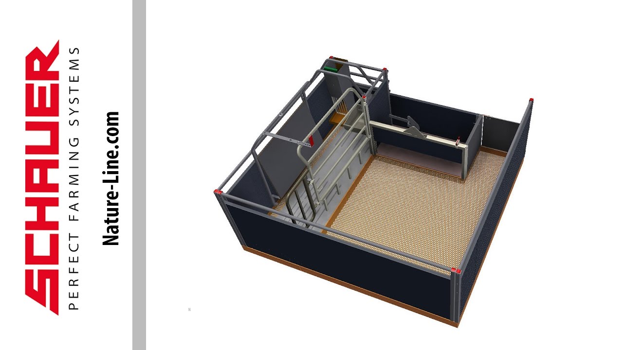 free farrowing BeFree - YouTube