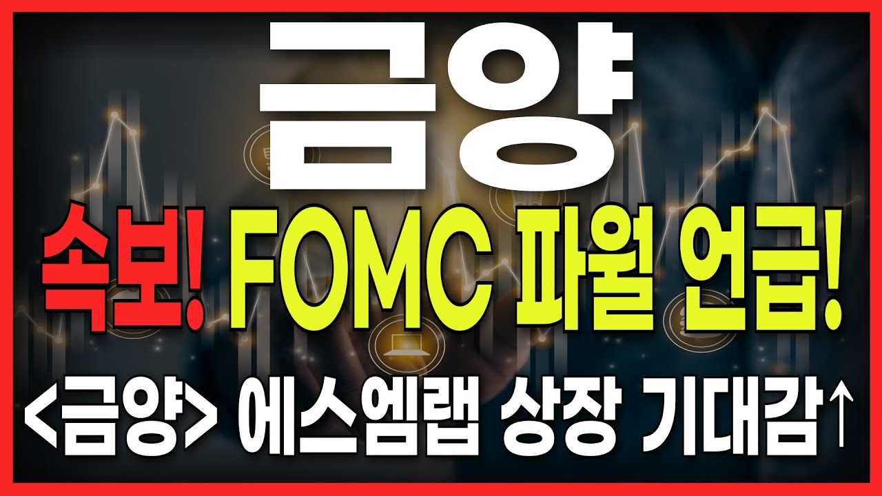 금양 속보 Fomc 파월언급 집중 금양 에스엠랩 상장기대감 상승 금리인하 Fomc 파월 발언 집중 조선생