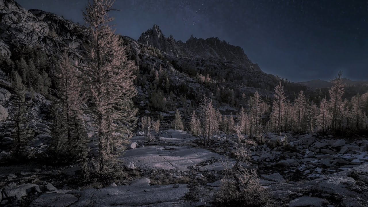 10 hours of nightly forest sounds to help you get a quality night's ...