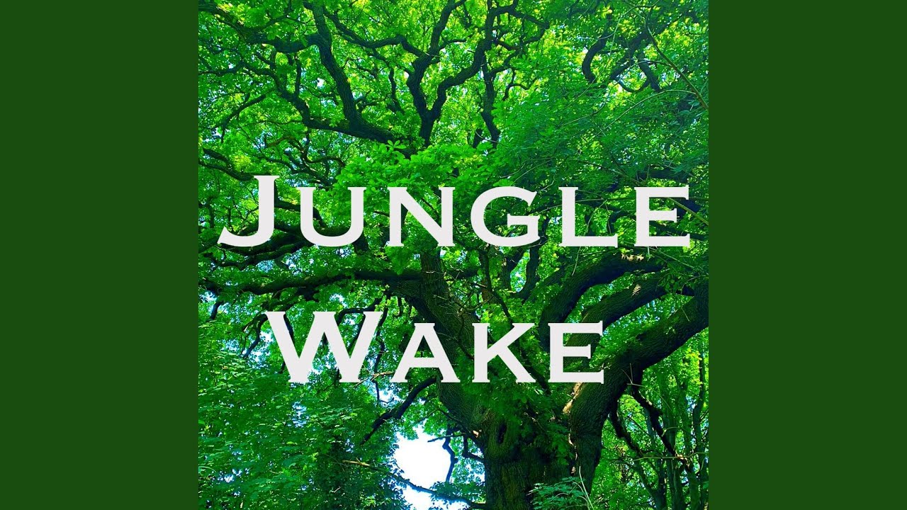 Jungle Wake - YouTube