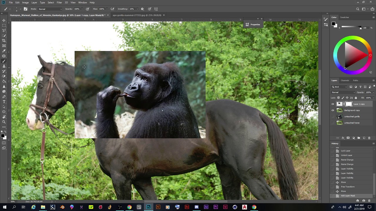 Intro to Computing - Animal Hybrid using Layer Masks and Adjustment ...