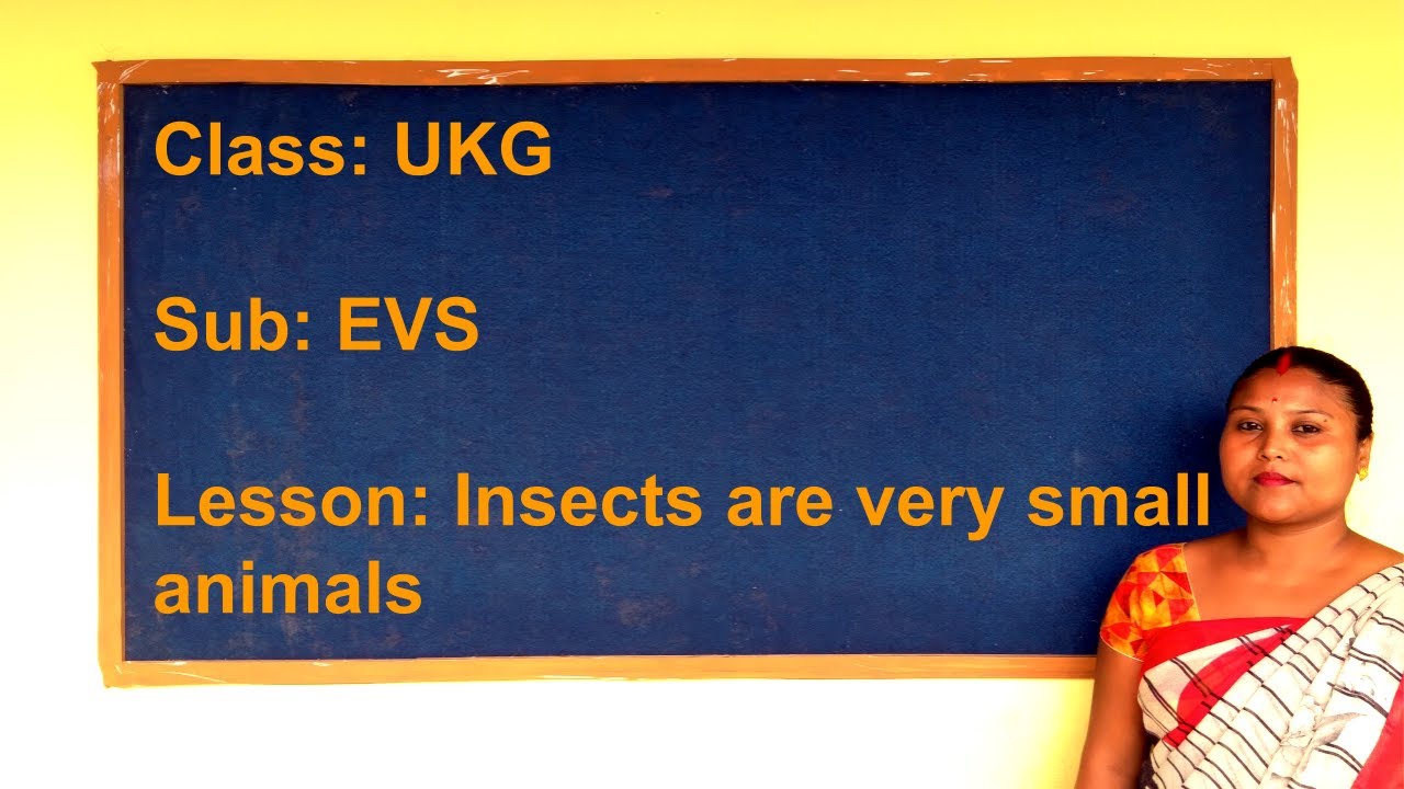 Class UKG | EVS | Lesson- Insects are very small animals | JJGA Edu ...