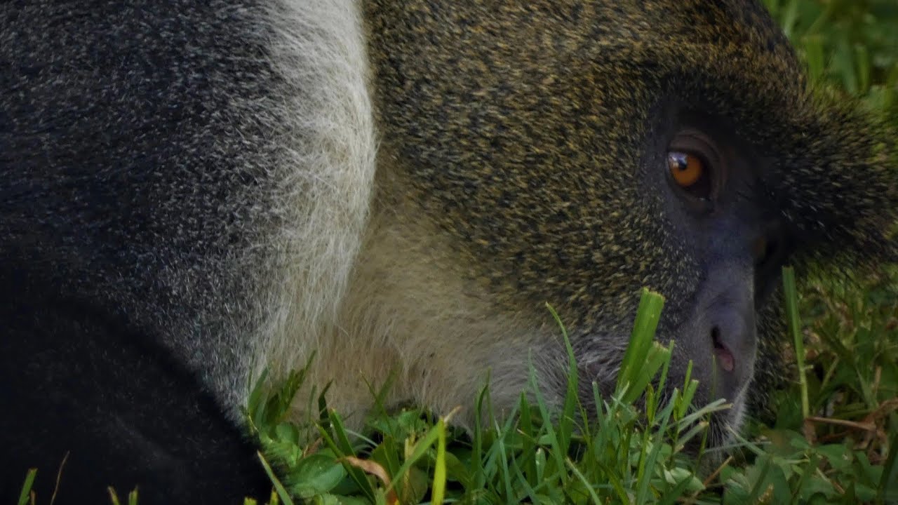 THIS GUY RESEMBLES YOU - YouTube