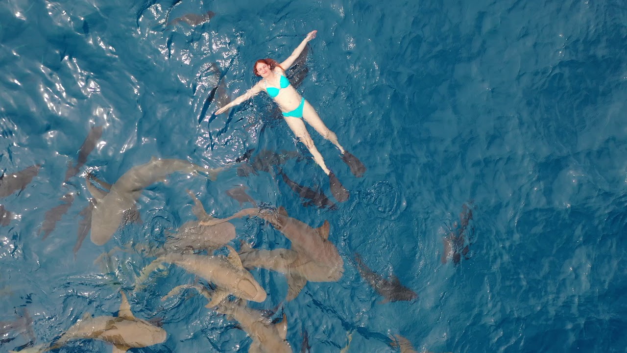 Beautiful girl Swimmer Floats on a Sea with Sharks.maldives maafushi ...