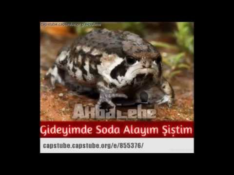 Capstube'de ki en komik capsler (1.bölüm)