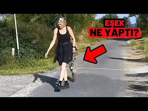 Kızın Annesi Olduğunu Sanan Eşek, Peşinden Evine Kadar Gitti Ve İnanılmaz Bir Olay Yaşandı!